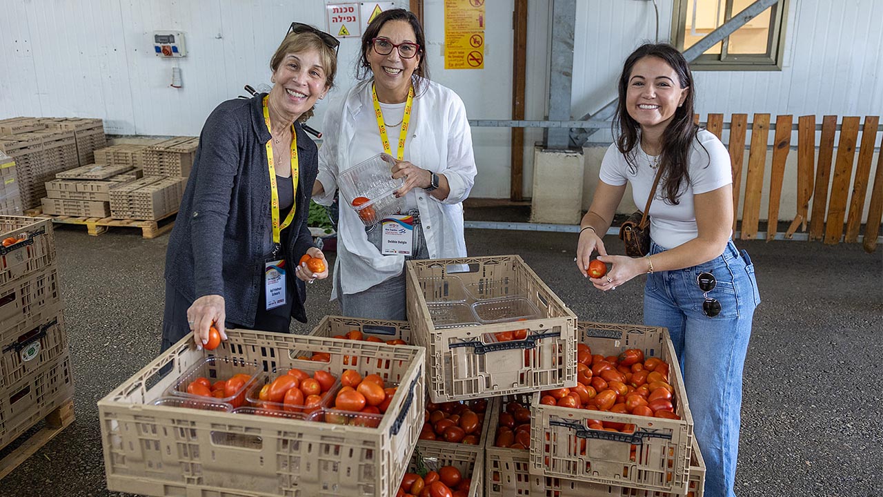 Missions to Israel - AFMDA